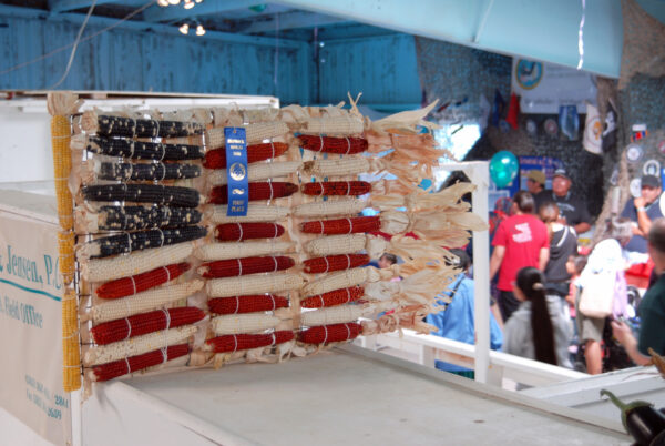 Native American Blue Cornmeal - The Culinary Cellar