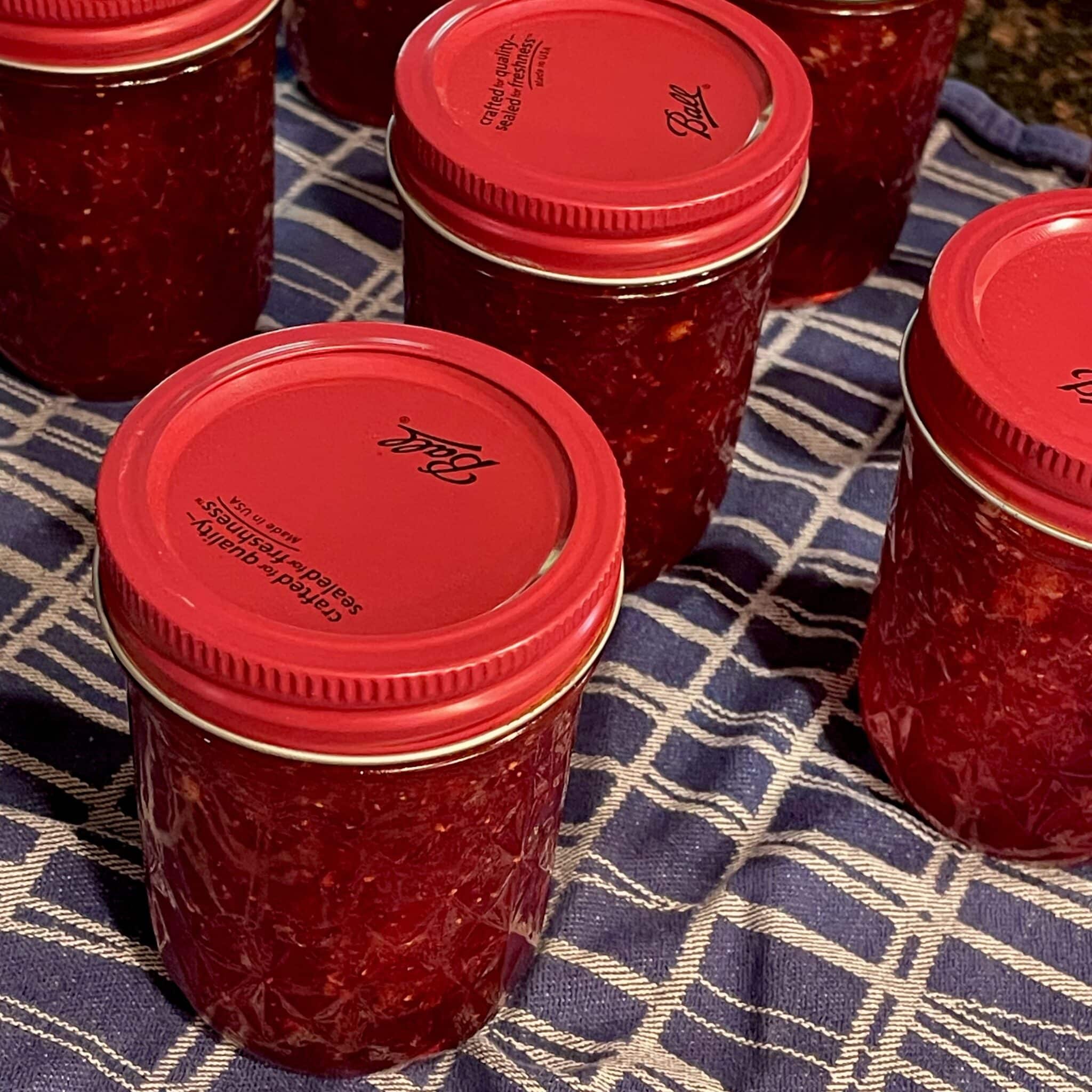 Strawberry-Vanilla Jam - The Culinary Cellar